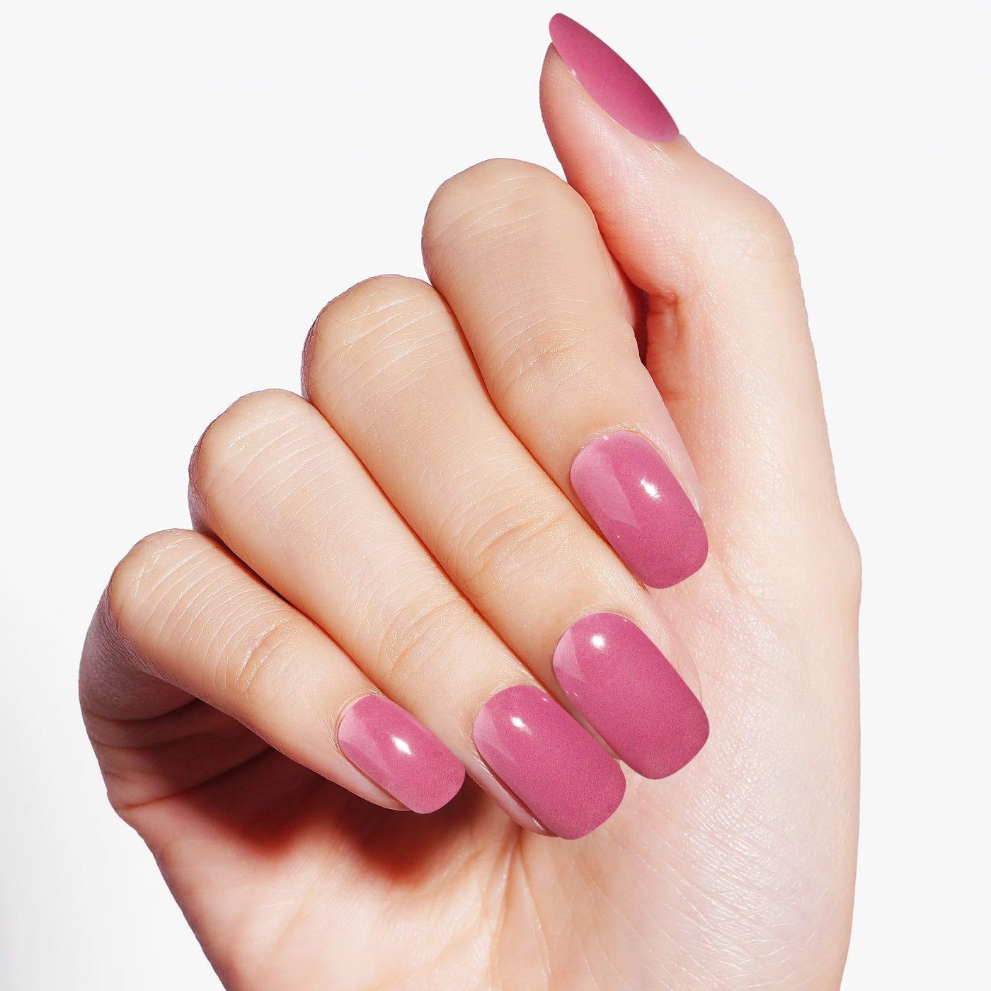 Gradient Fading Color Gel Nail Stickers | Ombré | Danni & Toni